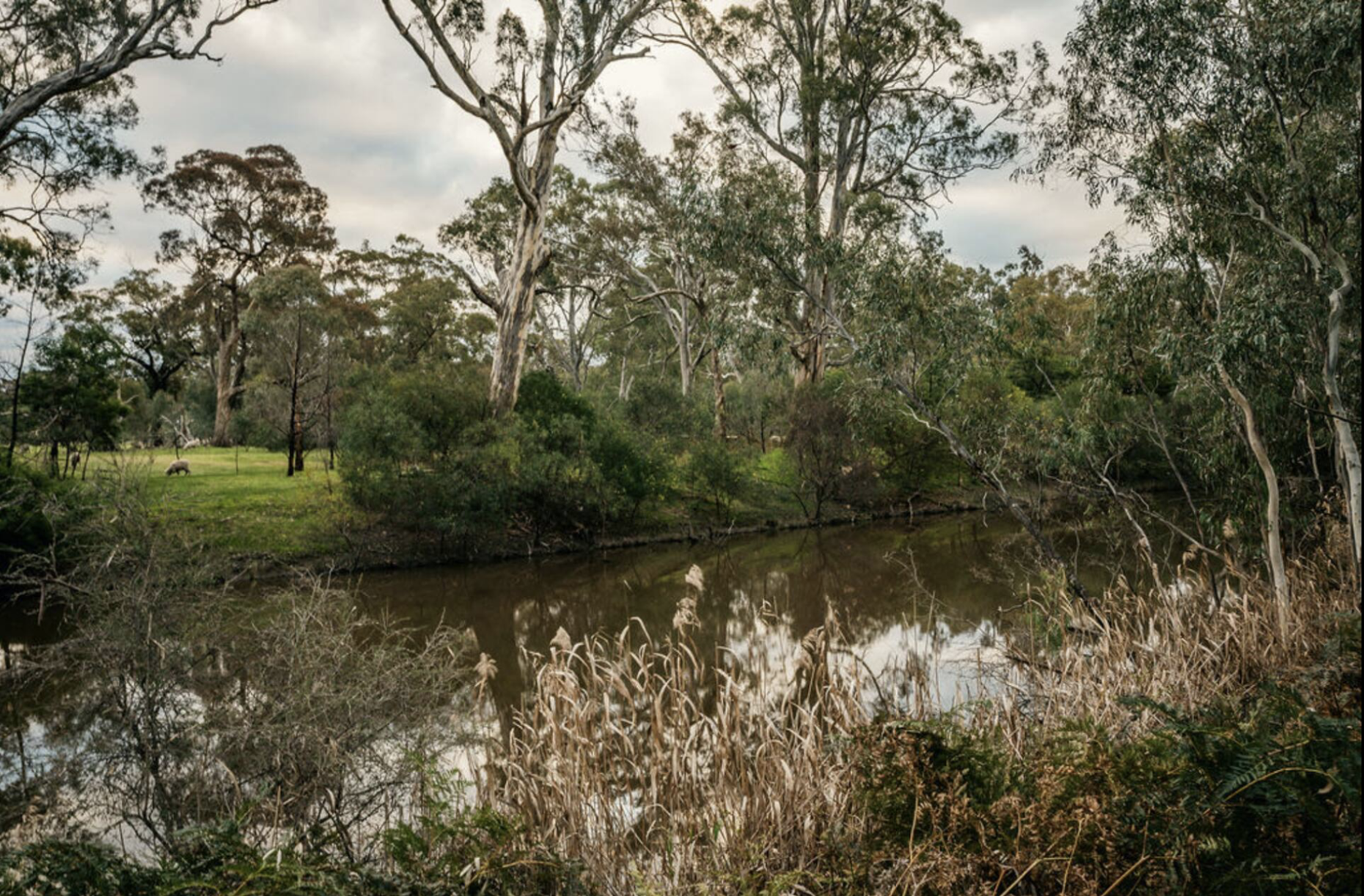 Dadswells Bridge, VIC - Landmates
