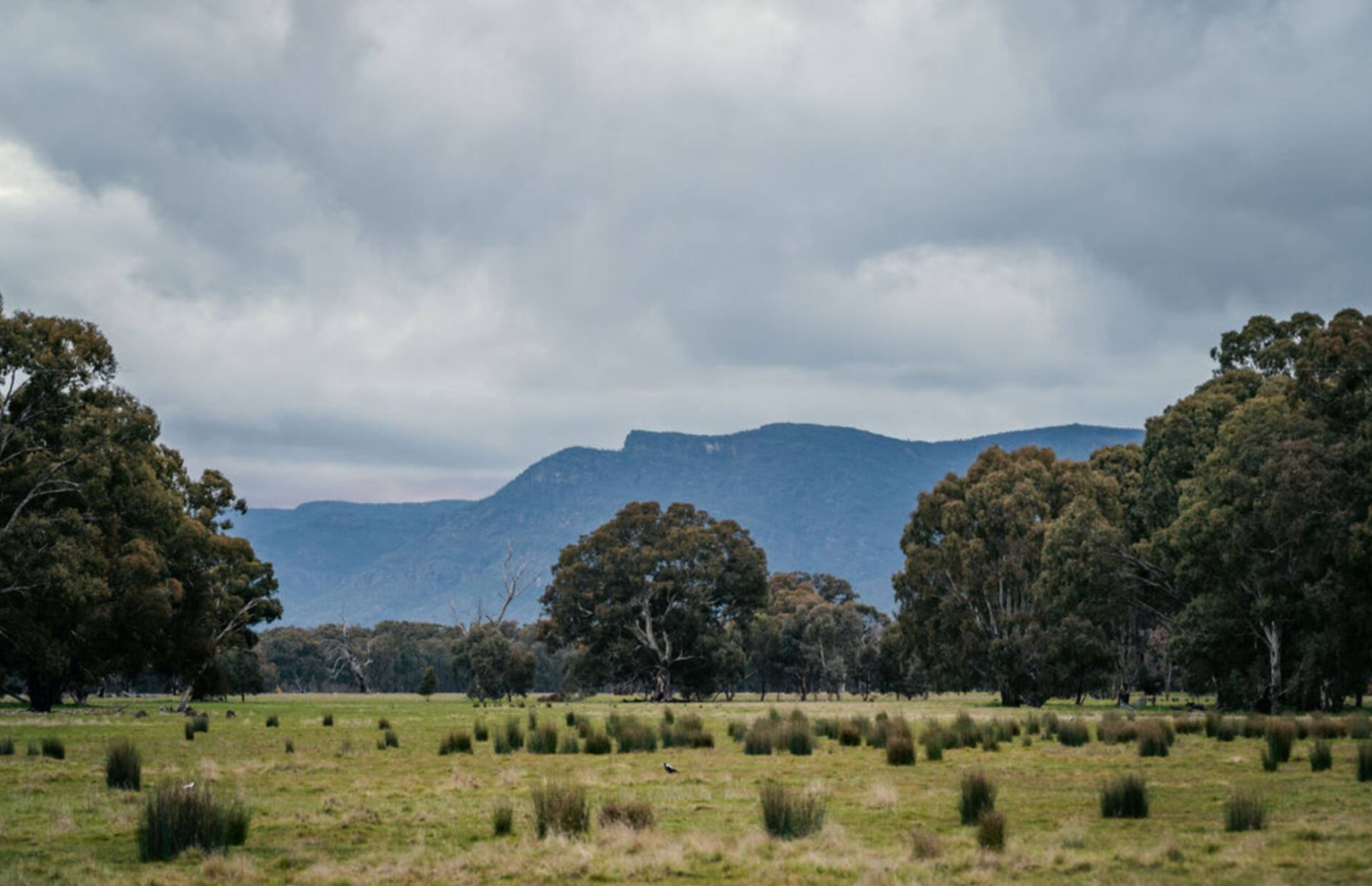 Dadswells Bridge, VIC - Landmates